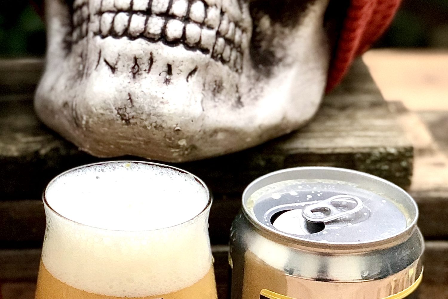 Trop Pop IPA - Dangerous Man Brewing Company